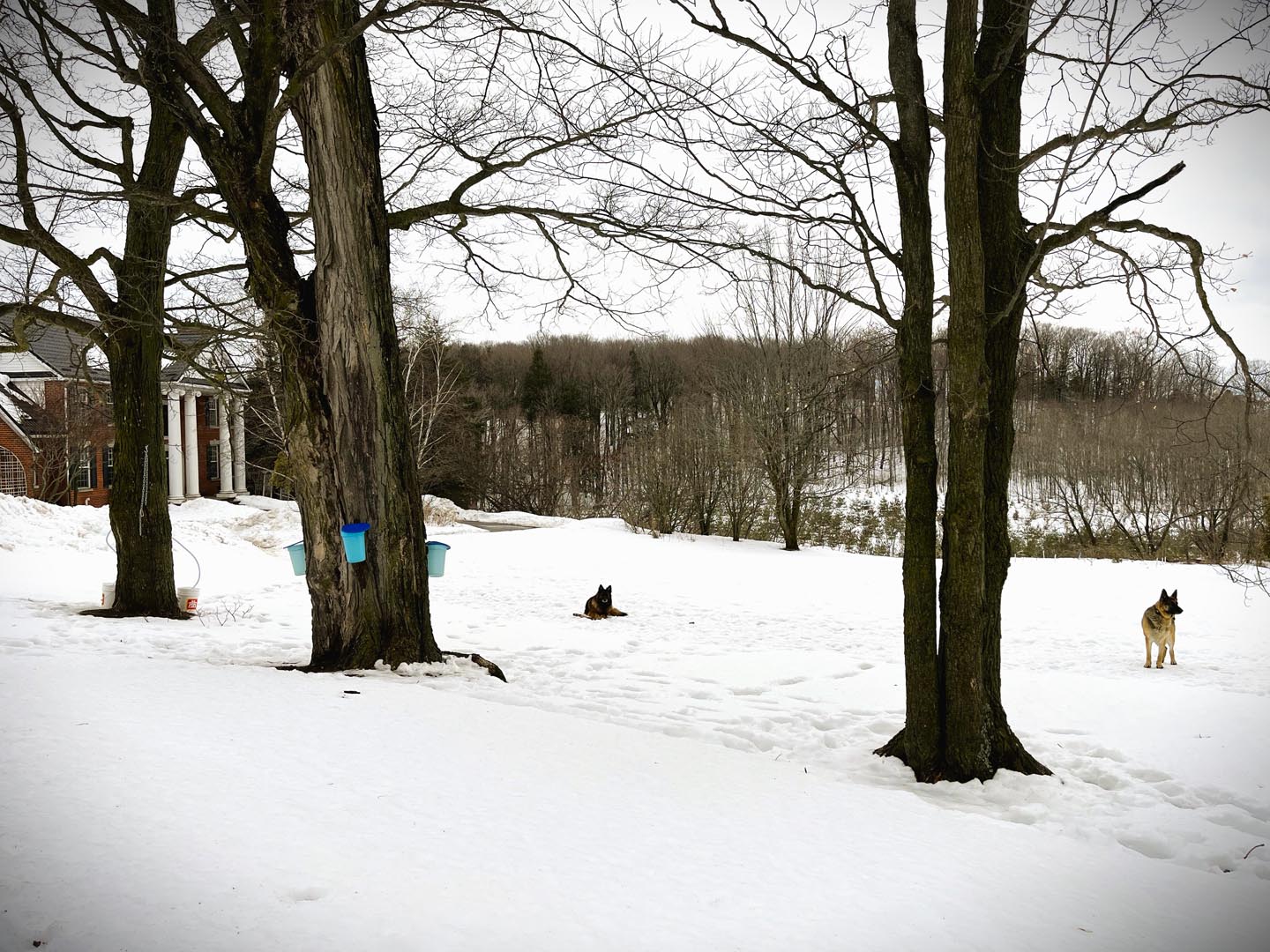 Welcome to Caledon Manor