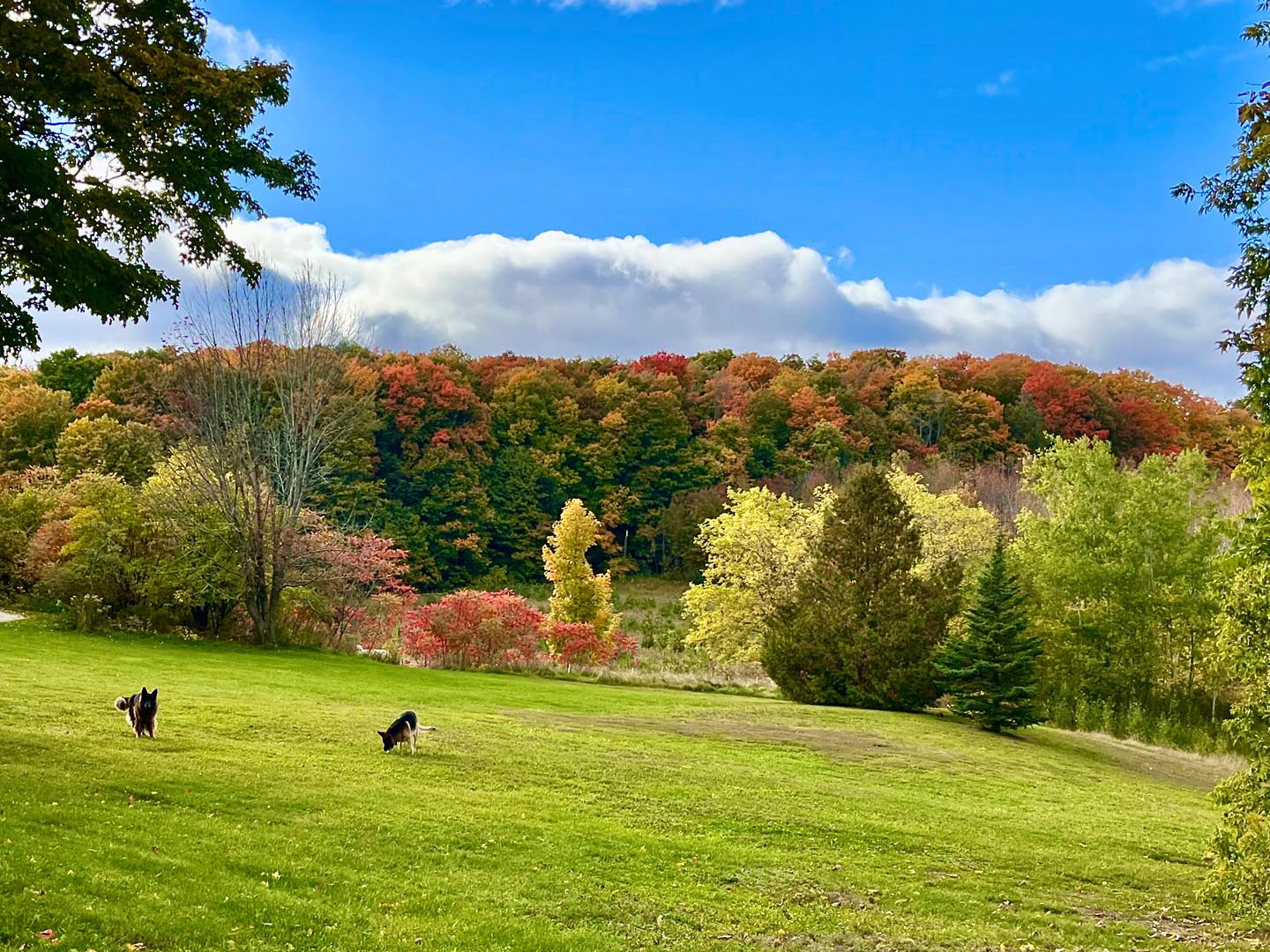 Welcome to Caledon Manor