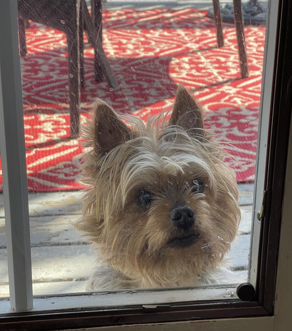 Welcome to Caledon Manor