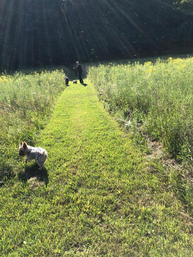 Welcome to Caledon Manor