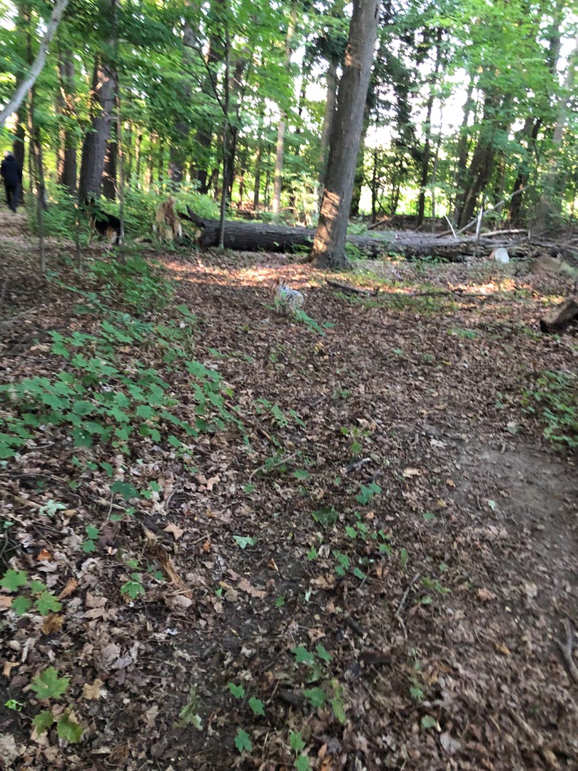 Welcome to Caledon Manor