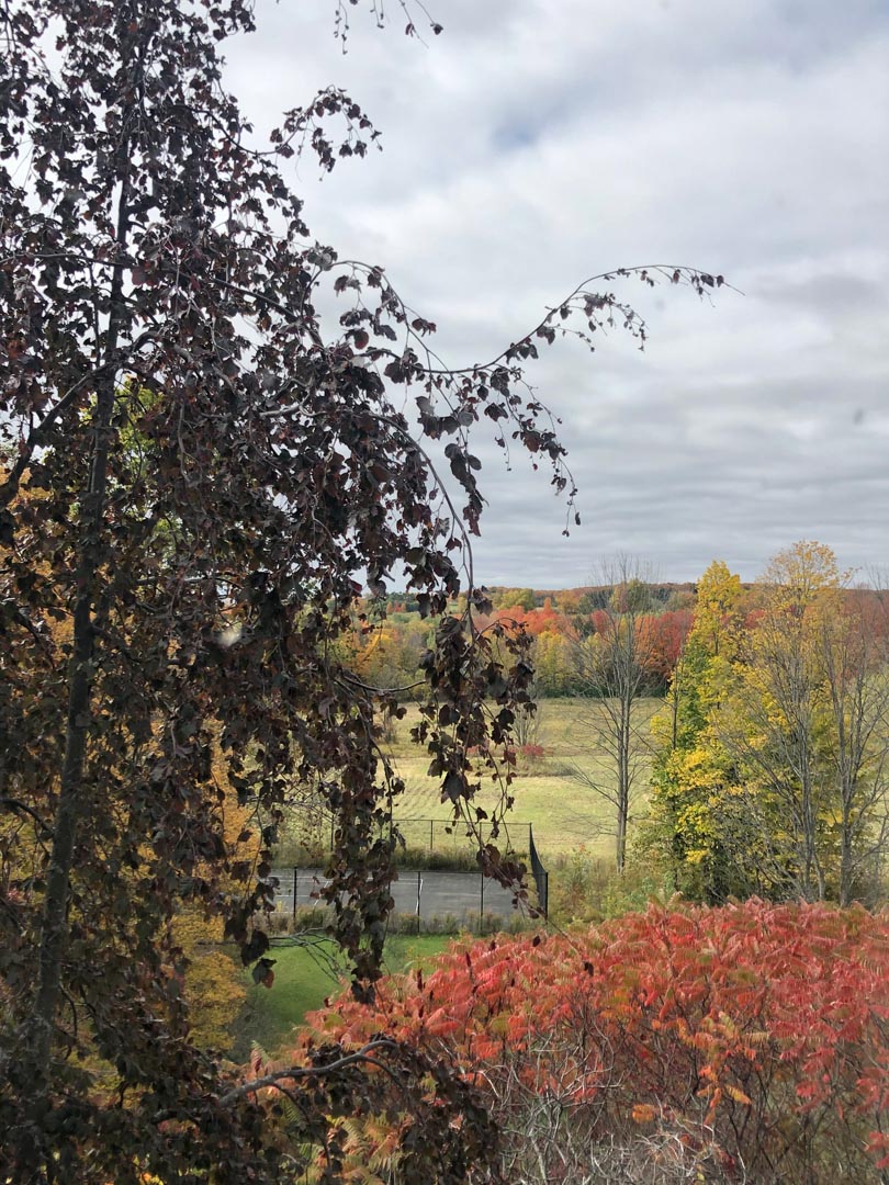 Welcome to Caledon Manor