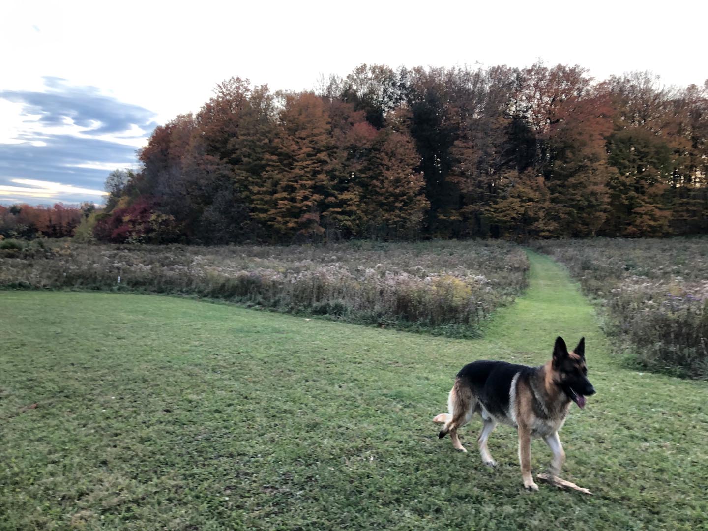 Welcome to Caledon Manor