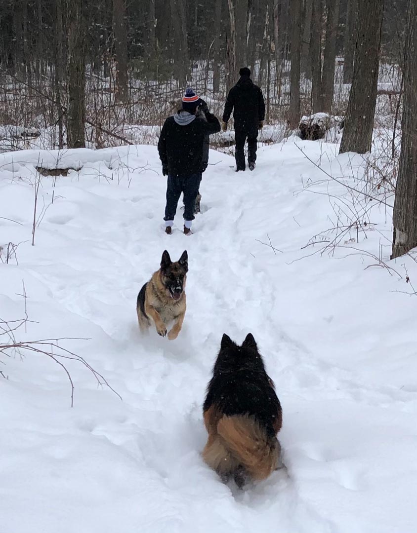 Welcome to Caledon Manor