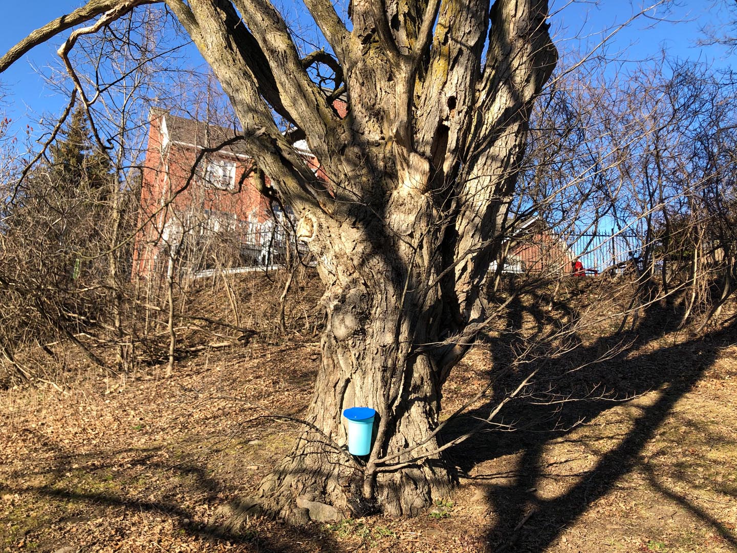 Welcome to Caledon Manor